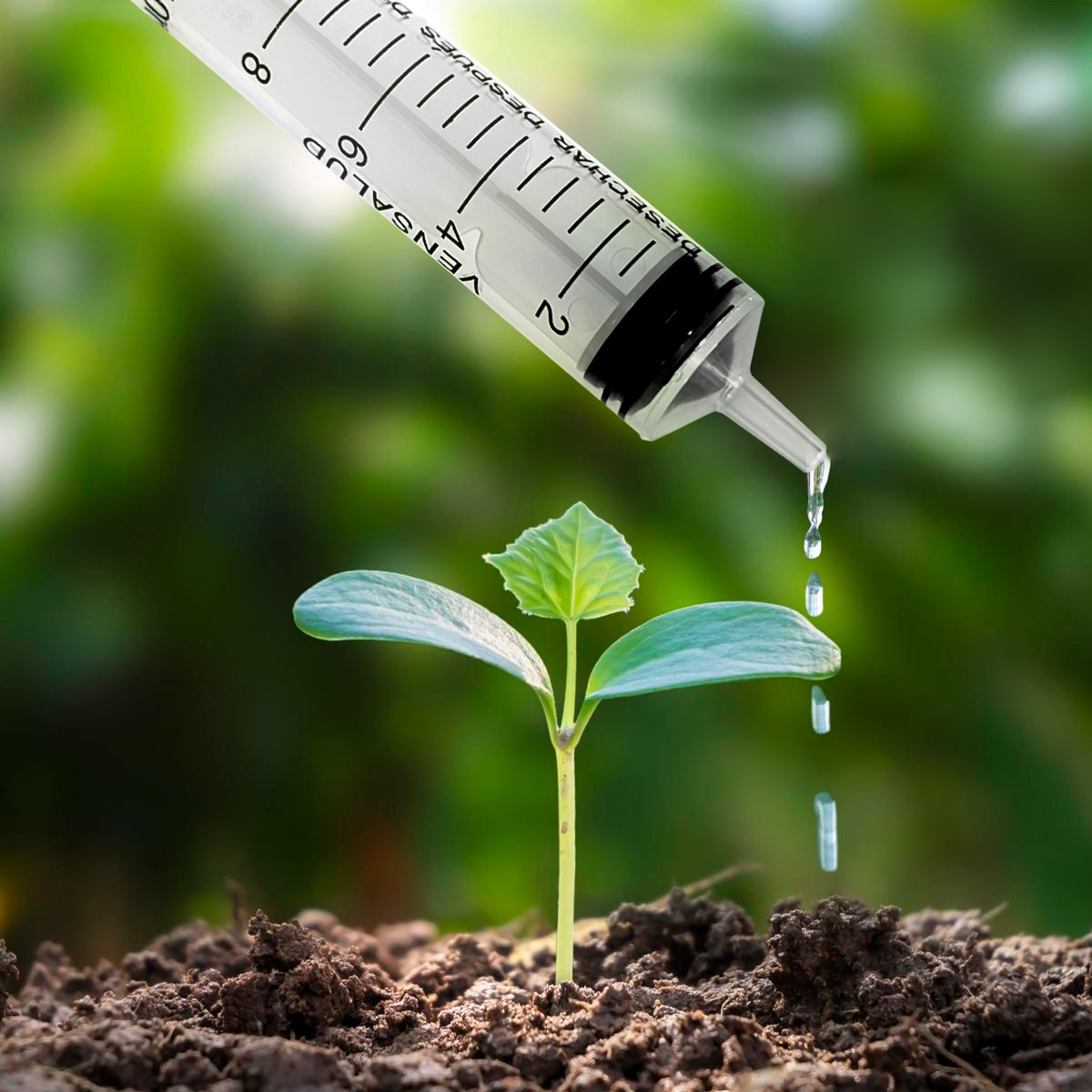 VENSALUD | Jeringa Desechable 10ml | Polipropileno | Luer Slip | Estér